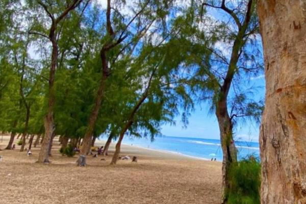 Le Ti Mimosa - Lagon - Saint-Leu