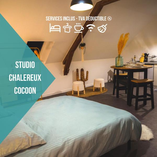 Le Nid • Cocoon • Netflix • Proche Centre-ville - Châteauroux