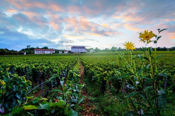 Gites Chateau Comblanchien - Beaune
