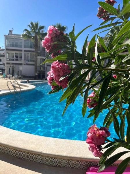 Punta Prima Palm Beach Apartment - Pilar de la Horadada