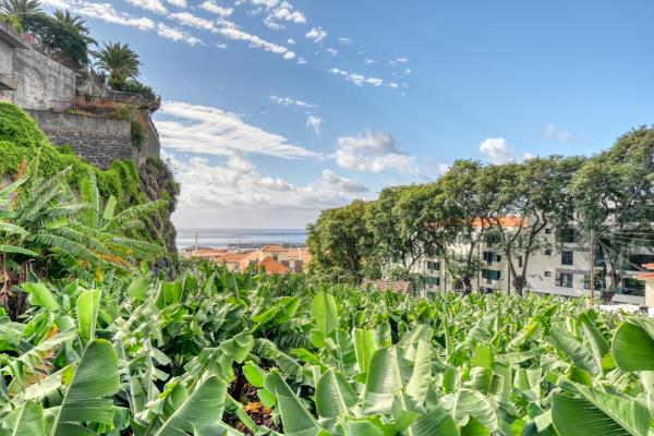 Villa Rosa, A Home In Madeira - 豐沙爾