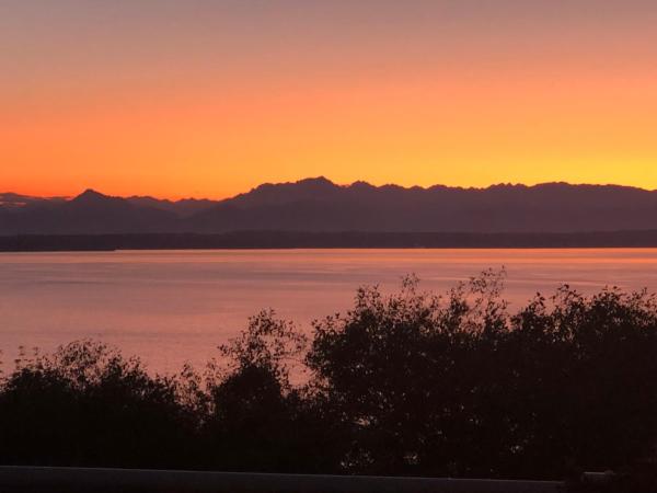 1-bedroom Seaview Guesthouse On Seattle Luxury Estate With Views Of Olympic Mountains - Seattle, WA