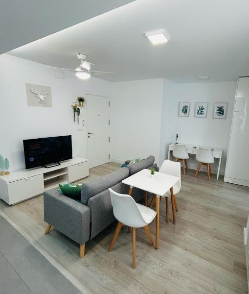 Silver -Apartamentos Birdie- - Albacete