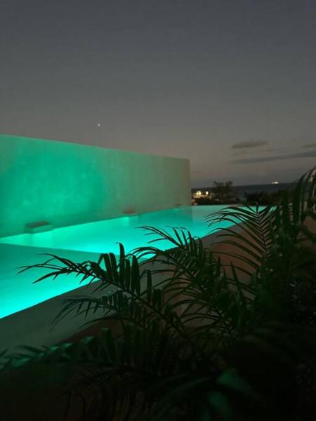 Breathtaking Ph 5thav Ocean View Private Pool Roof - Playa del Carmen