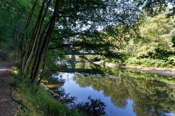 Camping Village Sy - Hamoir