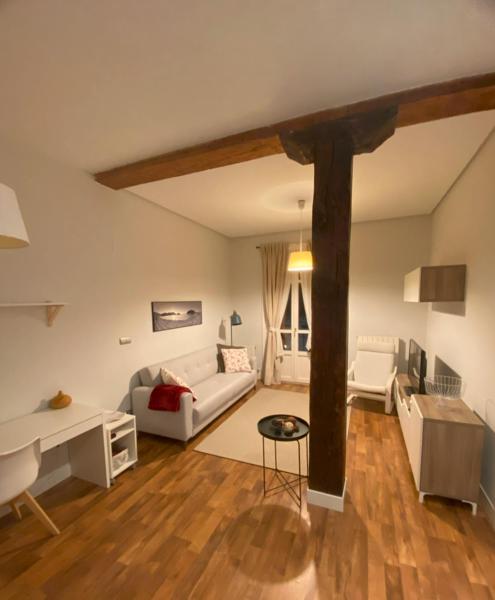 Bailén Vivienda Turística Reformada - Bilbao