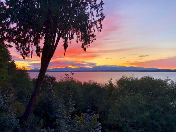 Romantic Spacious Suite With Salish Sea & Mountain Views At Seattle Luxury Estate - Seattle