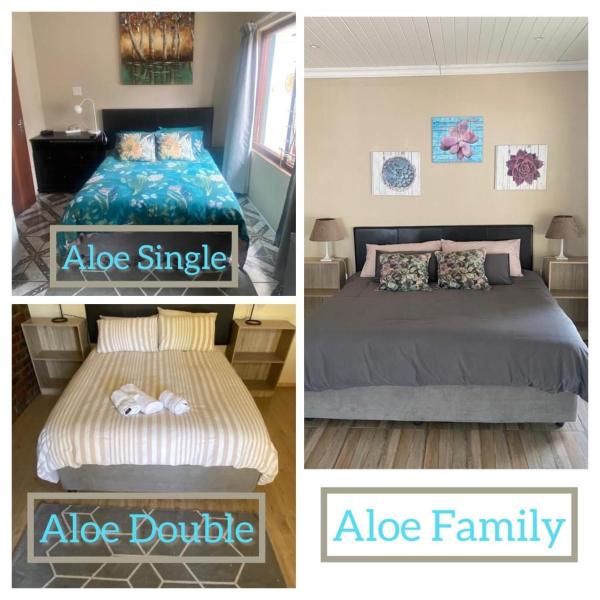 Aloe Guest Rooms - Bloemfontein