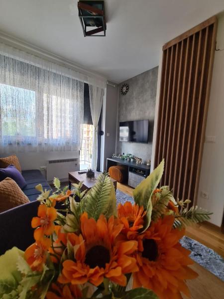 Apartman Rajska Dolina Titova Vila - Zlatibor