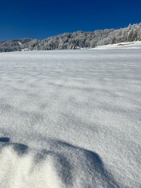 Panorama Appartements - Reuthe