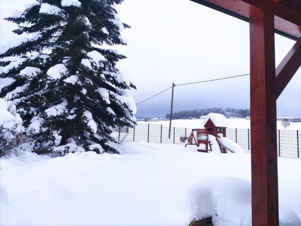 Ferienhaus Am Hochficht Mühlviertel In Oberösterreich - Wegscheid