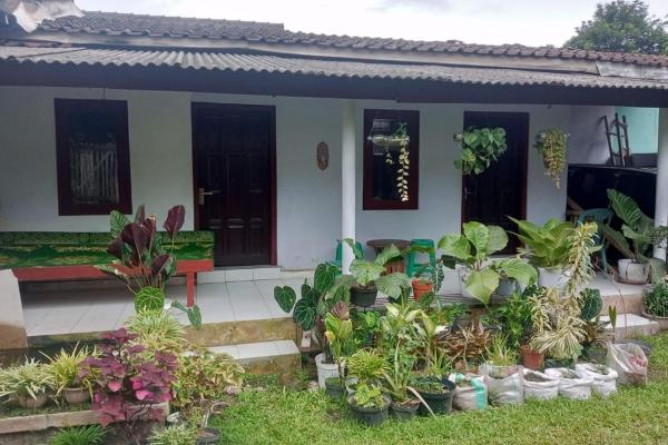 Homestay Wijaya Mulya - Borobudur