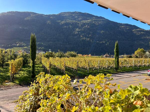 Apartment Steinach - Tirol