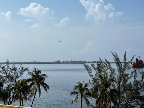 Seaflections - Jamaica