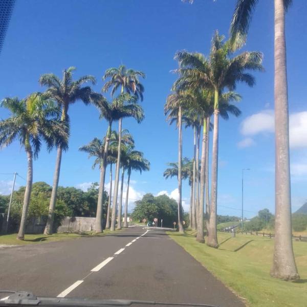 Maison Verte - Guadeloupe
