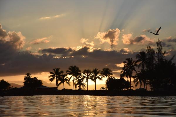 Duplex T2, 4 Adultes, Piscine, Plage à Proximité - Guadeloupe
