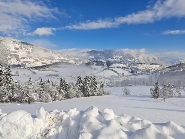 Knollgut Ferienwohnung Buchberg - Lend