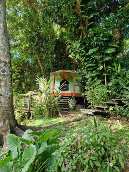 Dôme En Bord De Rivière - Guadeloupe