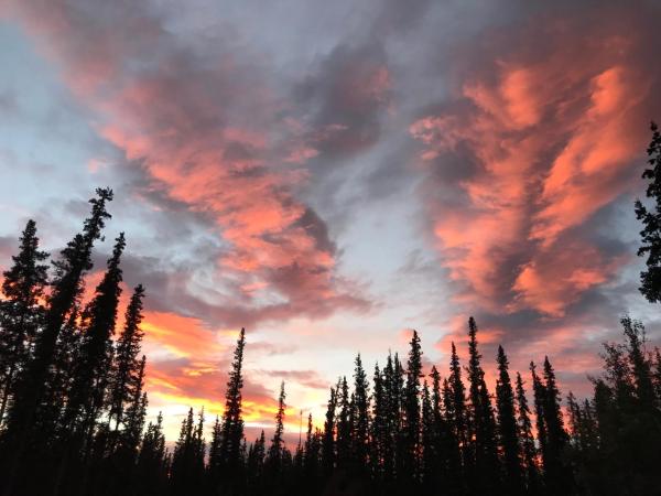 A Hyde Away Inn B&b - Alaska