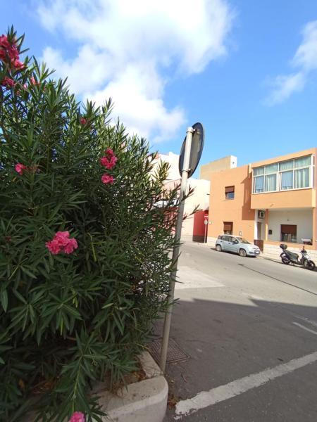 Da Gianni - Pantelleria