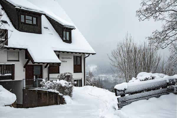 Appartements Waldrose - Hinterzarten