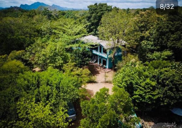 The Green Heaven Resort - Sri Lanka