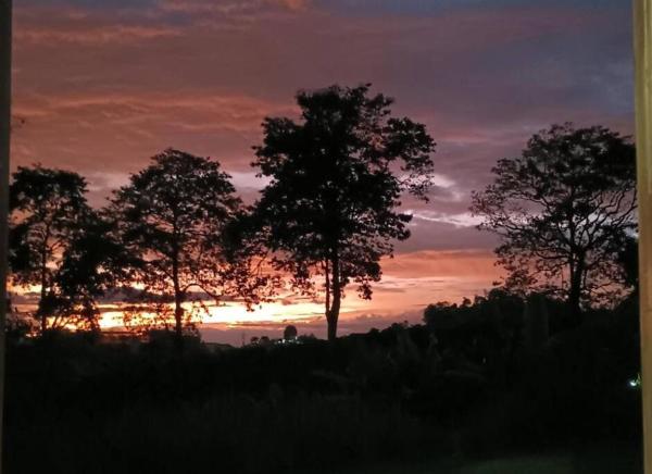 Desactivada - Pereira, Colombia