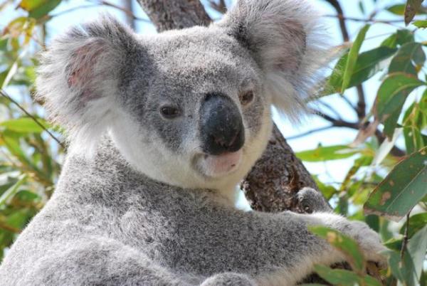 Cost Effective Island Escape! Studio Unit, Nelly Bay - Townsville City