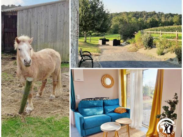 Charme Bucolique : Gîte 2 Chambres Avec Jardin, Poêle à Bois Et Activités Nature - Fr-1-600-67 - Mayenne