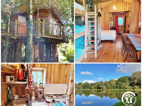 Cabane Familiale Tout Confort Avec Jardin, Animaux, Piscine Chauffée Et éTangs à Saint-thomas-de-courceriers - Fr-1-600-214 - Mayenne