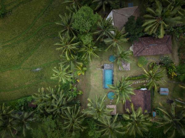 Green Sari Private Villa - Ubud