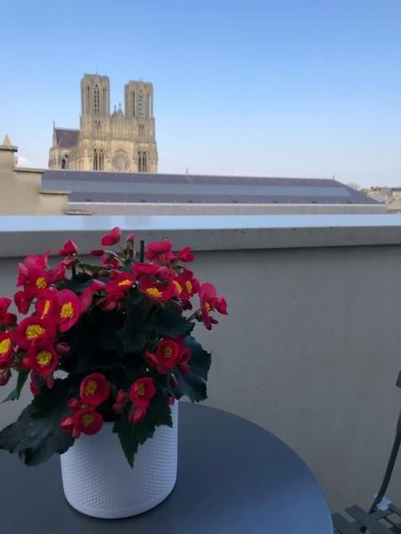 Studio Cosy Vue Cathédrale - Reims