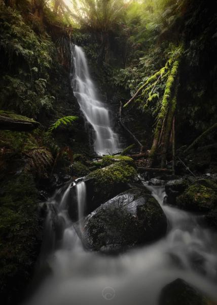 Cottage With Private Rainforest And Waterfalls - Great Ocean Road