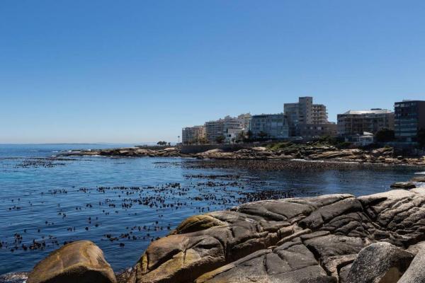 Modern & Luxurious Seaside Apartment - Cape Town