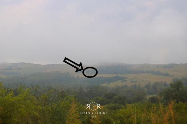 Tranquil Mountain Cottage :Hikes/boma/animals/pool - Magaliesburg