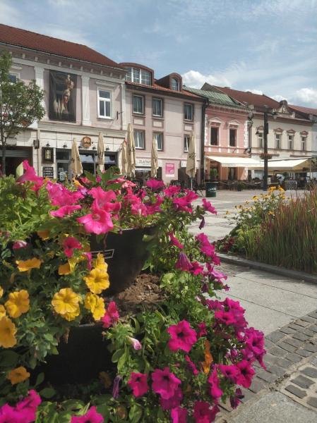 Apartmán Rebeka - Liptovský Mikuláš