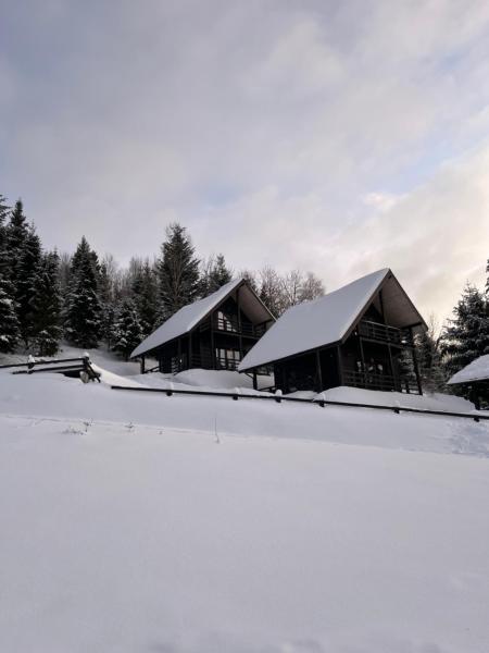 Cottages Shepit Lisu - Ucrania