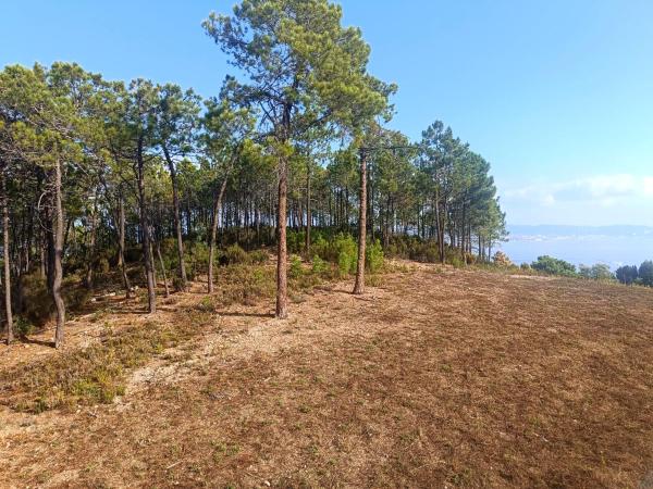 Ravissant T2 Vue Mer Et Massif - Les Clés De L´estérel - Théoule-sur-Mer