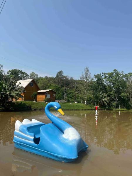 Sítio Recanto Nativo - Santa Catarina (estado)