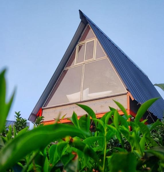 Glass Camping - Kerala