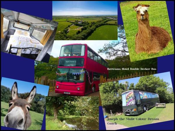 Fosfelle Glamping - Clovelly
