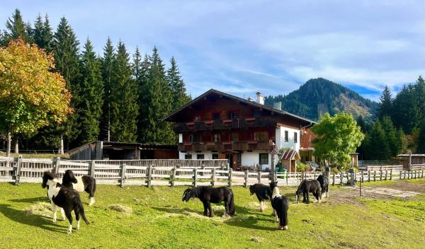 Huberbauer Hof - Reutte
