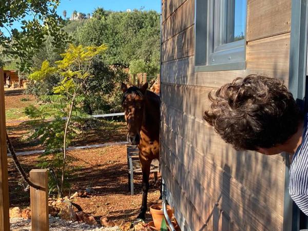 Location Tiny House Loule - Loulé