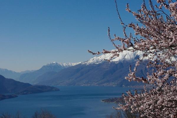 Hotel Tamola - Lac de Côme