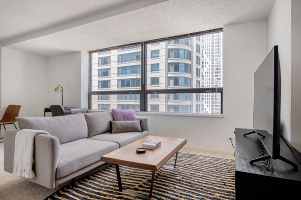 Streeterville Studio W Gym Pool Nr Navy Pier Chi-445 - Chicago