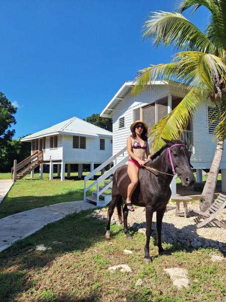 Wild Horse Cottage #3 - Belize