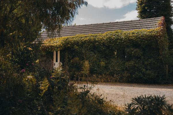 Hideaway Farmlet Romantic Cottage With Miniature Goats - Penguin