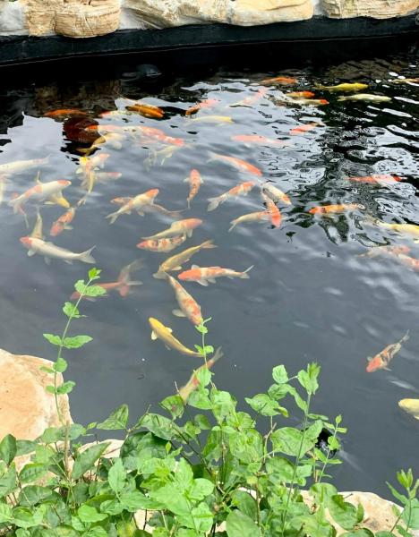 Santori Villa Soc Son - Venuestay - Hanoi Nội Bài Airport (HAN)