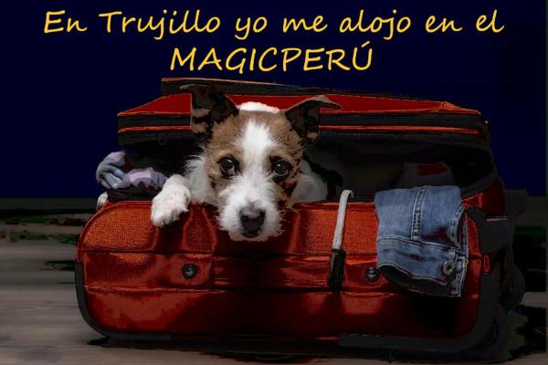 Magicperu Pet Friendly - Trujillo