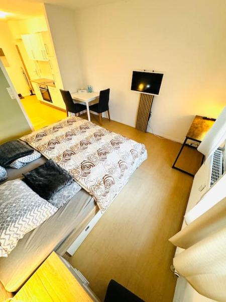 Central City Charm 01 - Mainz